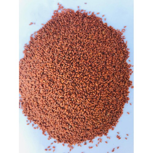 Dry Fruits Online in India | Premium Nuts, Seeds & Spices ...