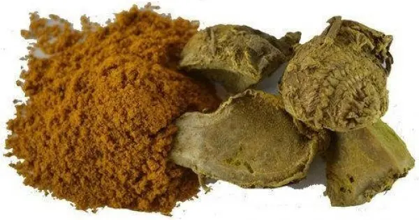 Amba Haldi Powder 200gms / Wild Turmeric Powder