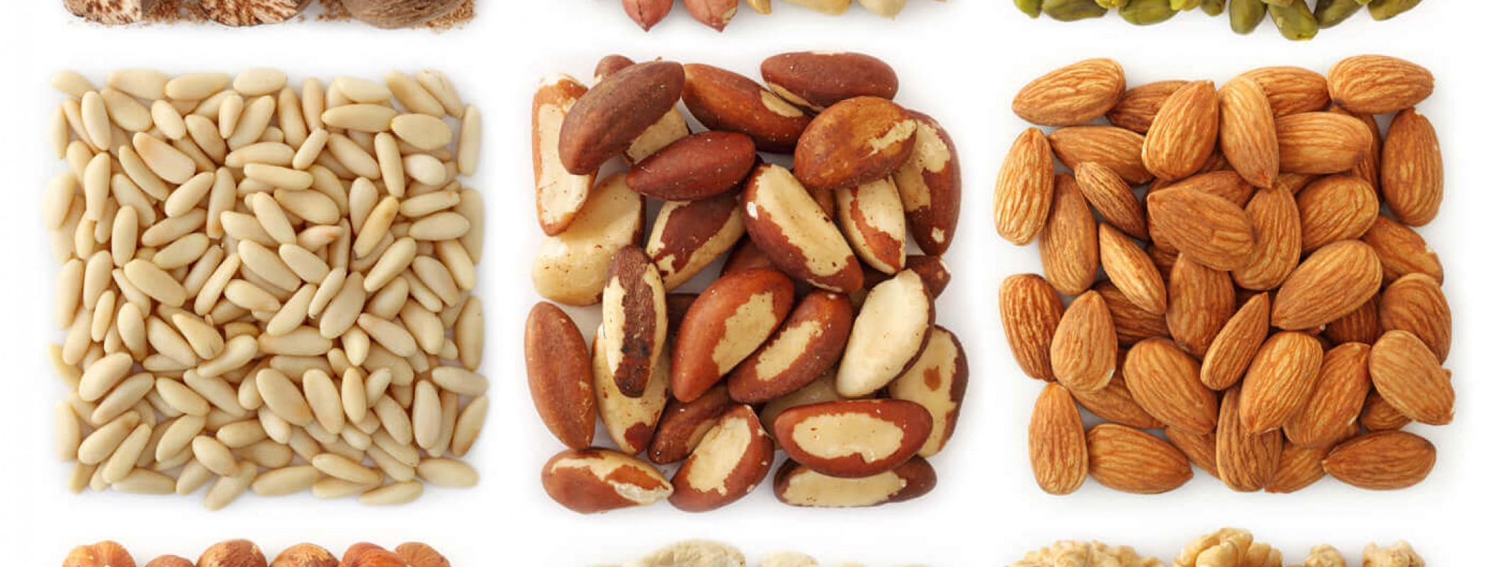 Celebrating Nature's Bounty: A Comprehensive Guide to Dry ...